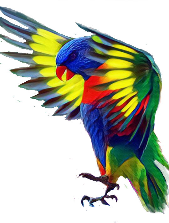 bird colorful flying freetoedit sticker by @mislenartedit