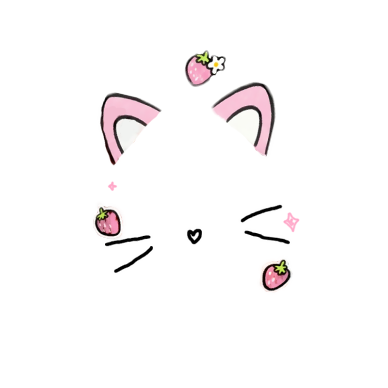 Transparent Overlay Cat Filter