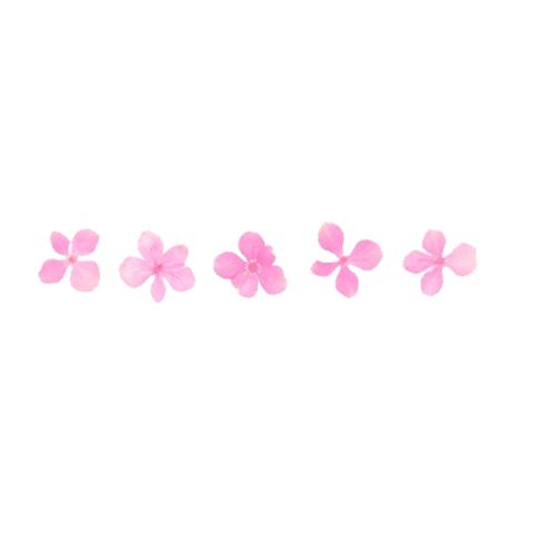 Pastel Flowers Tumblr Transparent