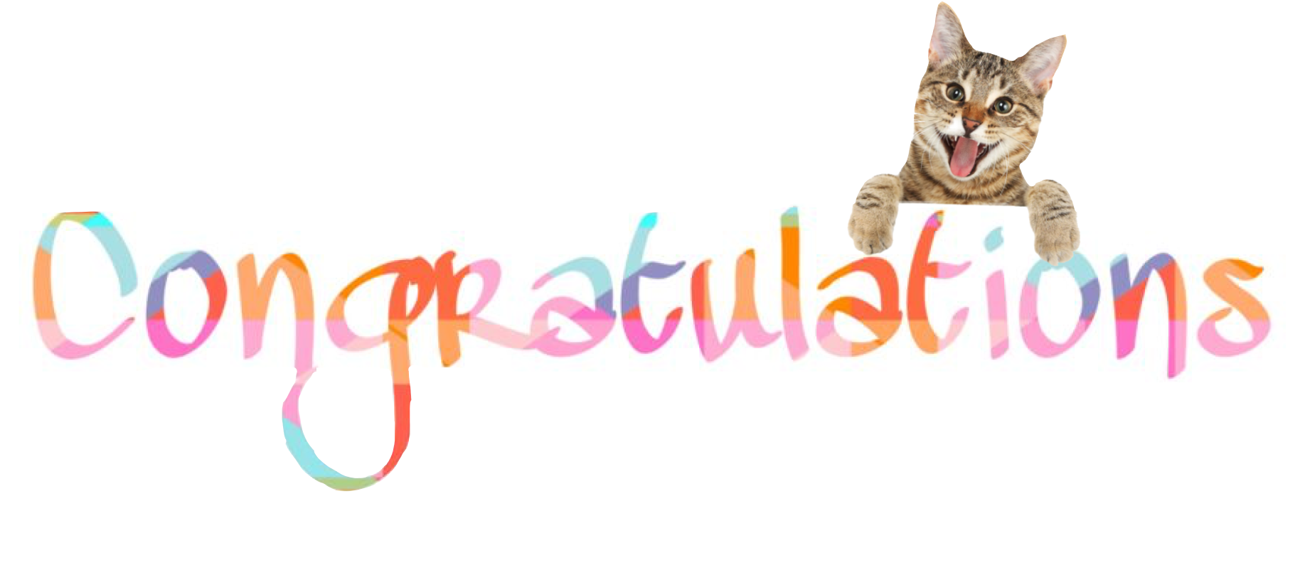 Congratulations Kitten