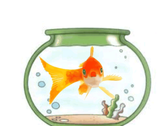 Gold Fish Animated Gif