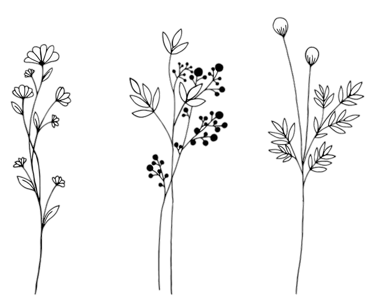 Flower Picsart | Best Flower Site